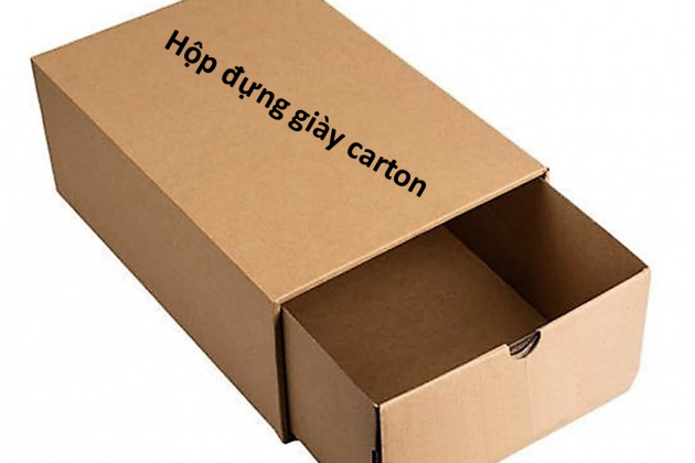 HỘP ĐỰNG GIÀY CARTON